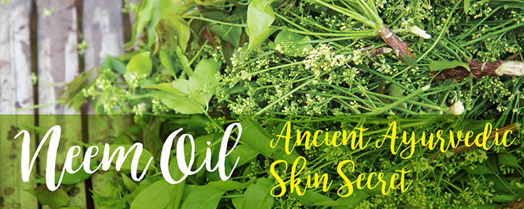 Neem Oil: Ancient Ayurvedic Skin Secret & Acne Healer